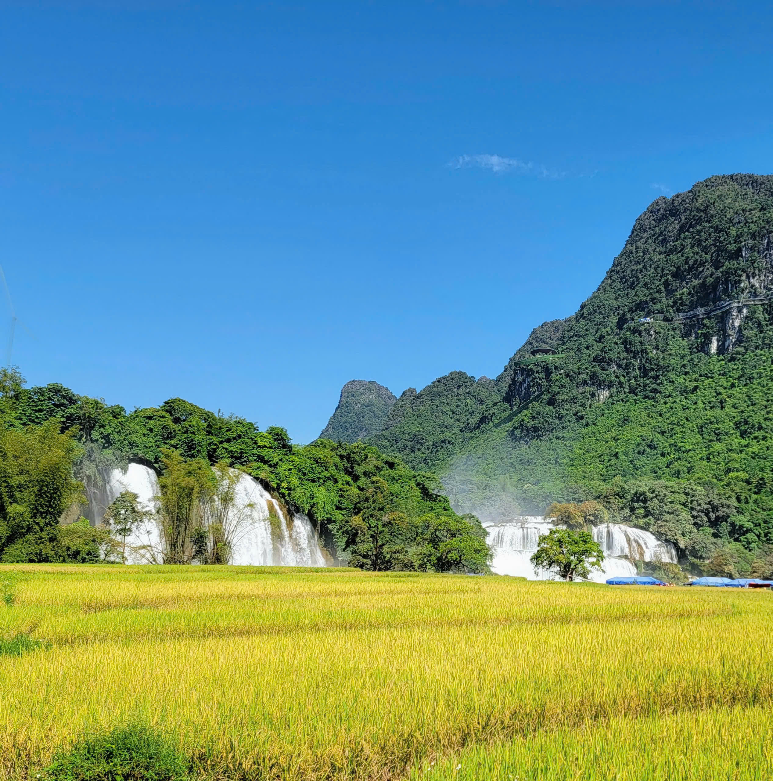 Cao Bang - Ban Gioc Waterfall Full 1 Day Tour with Local Guide