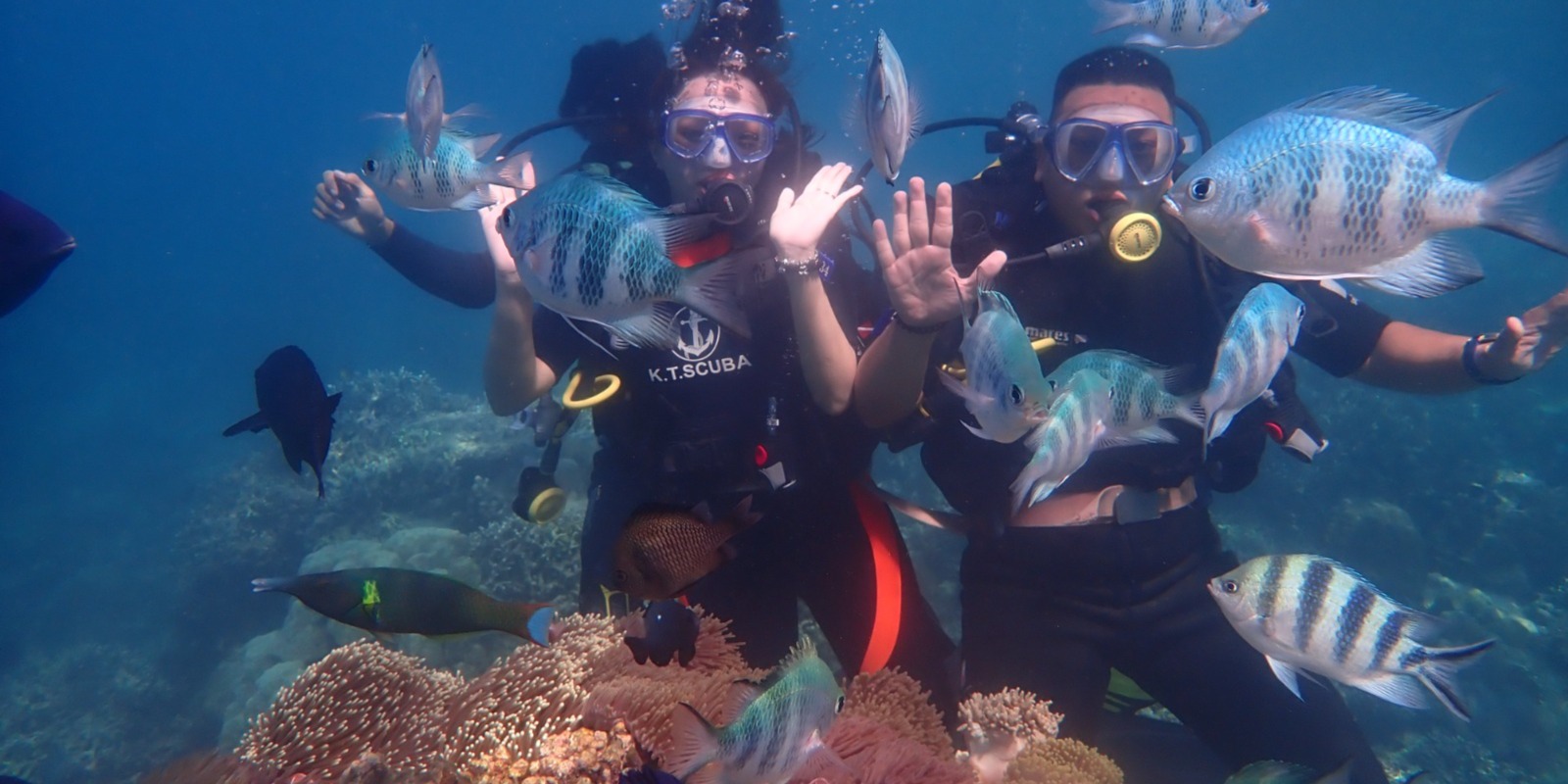 SCUBA DIVING TOUR AT CORAL REEF (NHA TRANG)